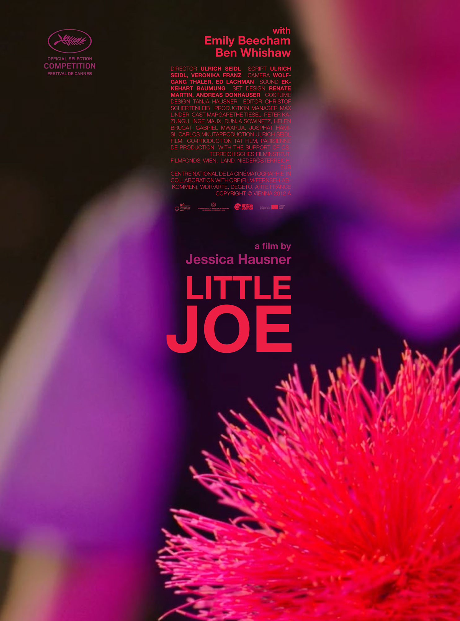 Little Joe | pressbook - Aina Riu